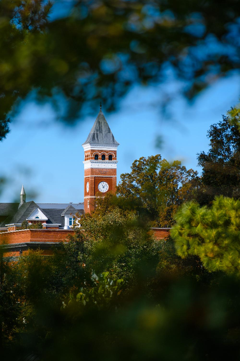 Programs > Pam Hendrix Center for Education Abroad